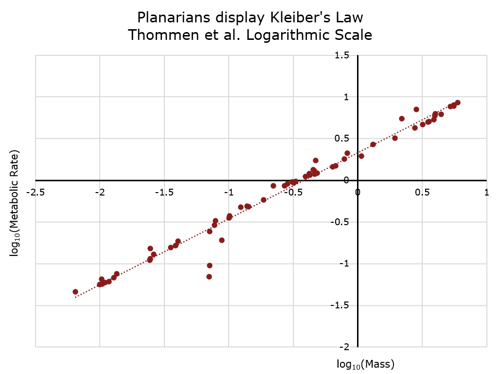 Introduction to Linearizing with Logarithms – Physics 132 Lab Manual