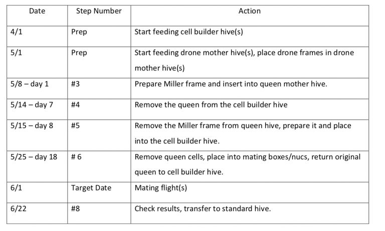Graft-Free Queen Rearing by Morris Ostrofsky – Radicalize the Hive