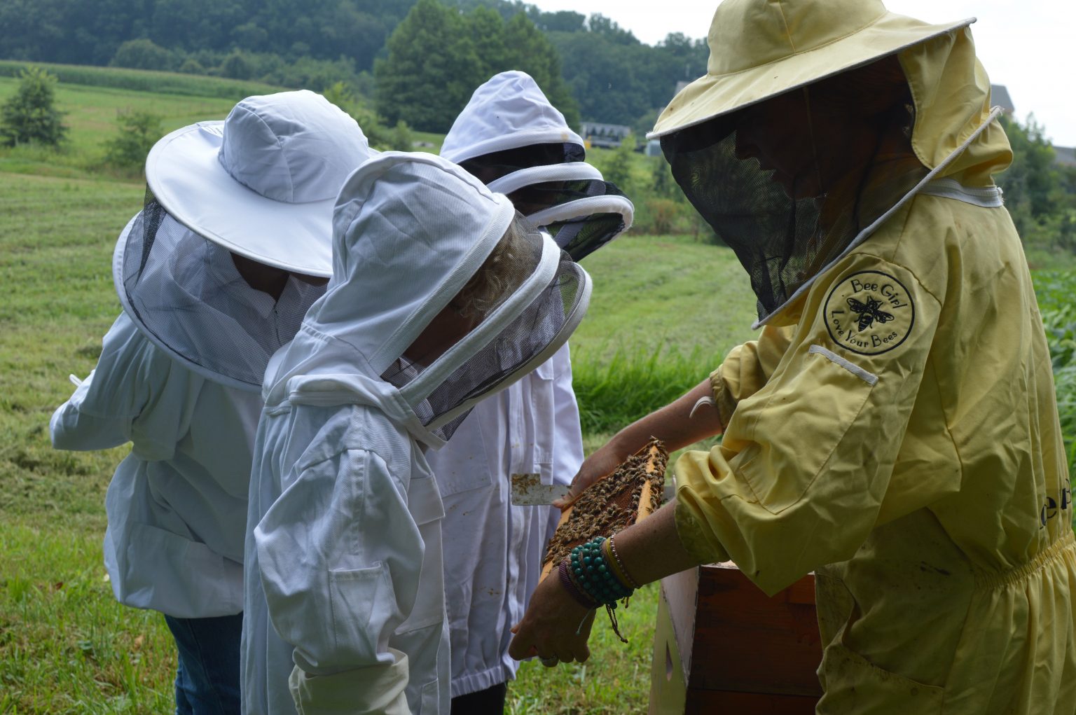 Sarah Red-Laird: Beekeeping as Part of the Bigger Picture: Agriculture ...